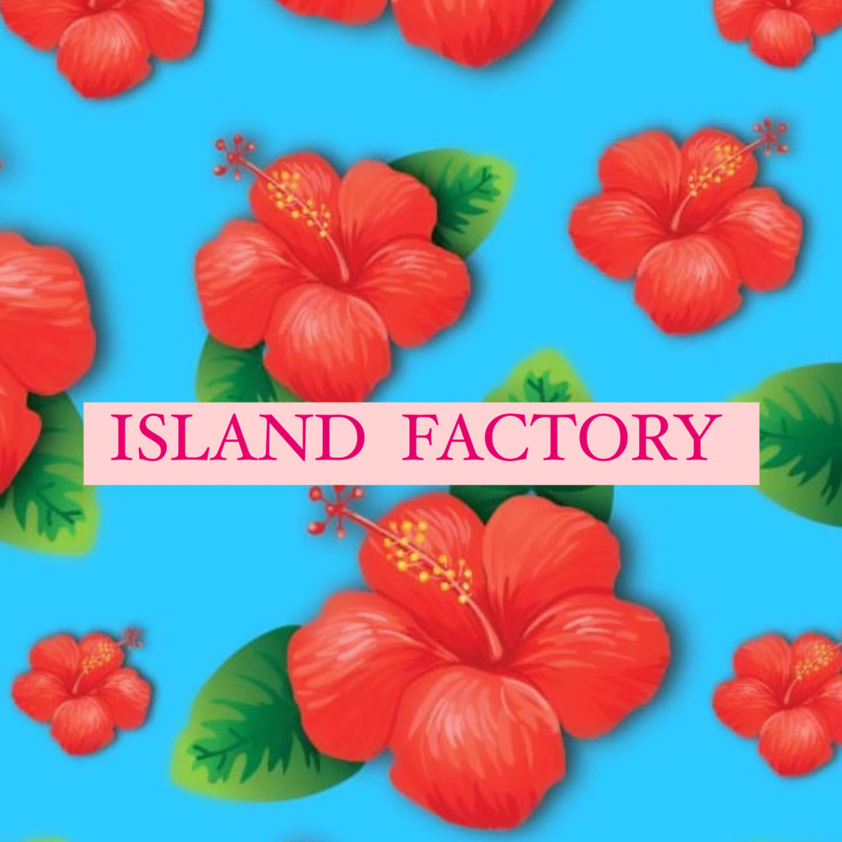 The Island Factory – DC Boutique